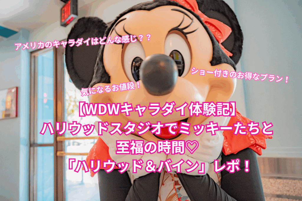 WDW – Disney diary